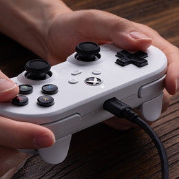 8BitDo Pro 2 Wired Controller for Xbox and Windows